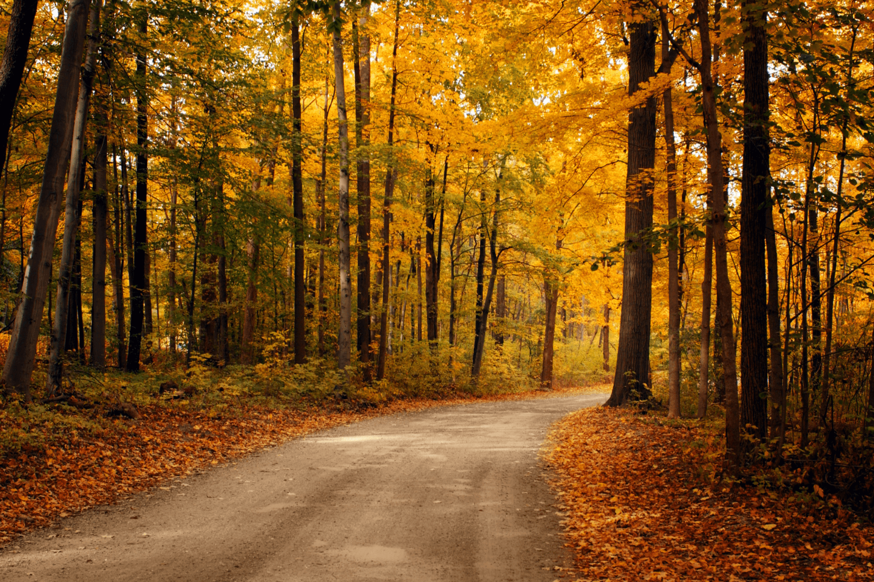 9 Essential Fall Financial Planning Tips - DSB Rock Island